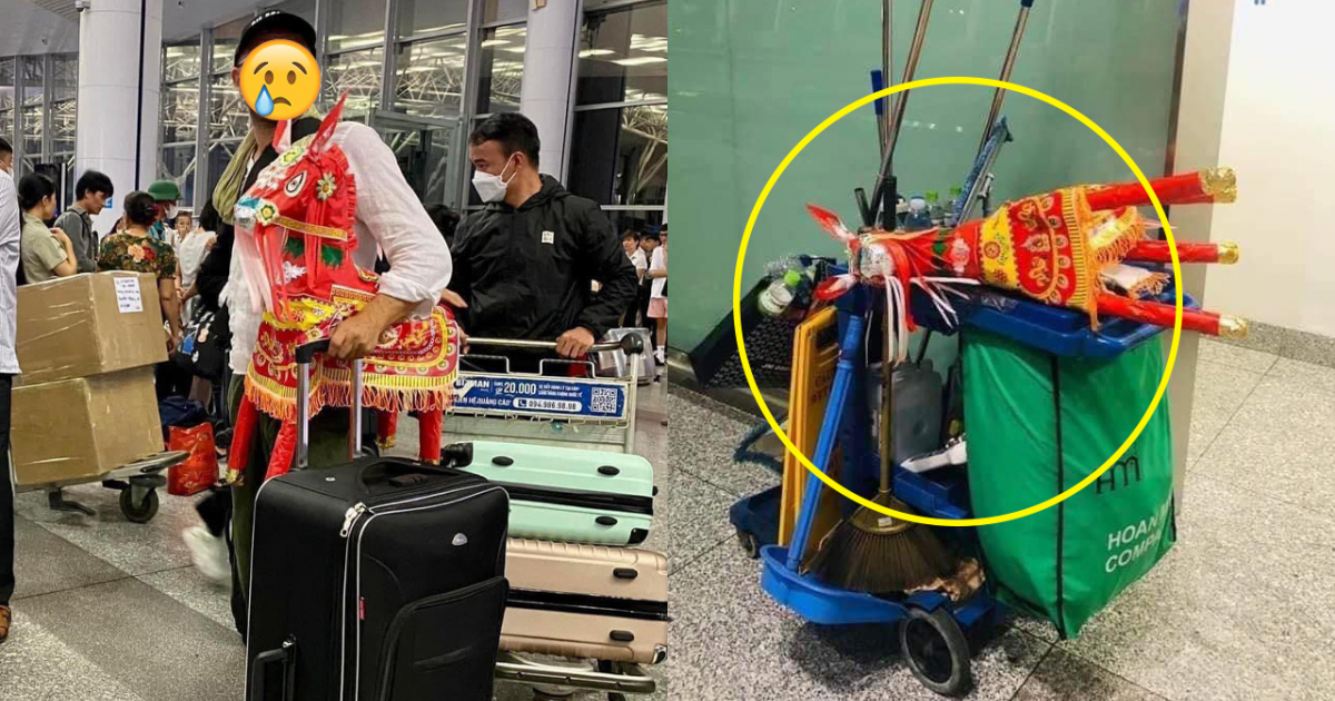 Có được phép mang ngựa vàng mã lên máy bay hay không?