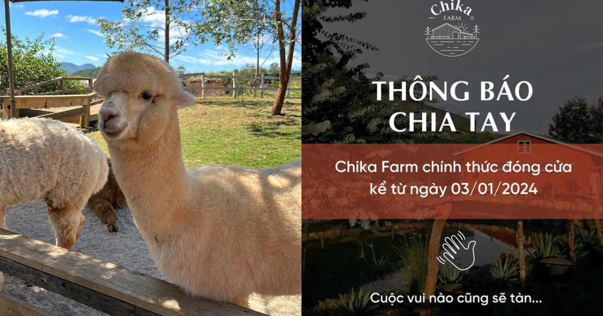 Vì sao Chika Farm ở Đà Lạt đóng cửa dù rất đông khách tham quan?