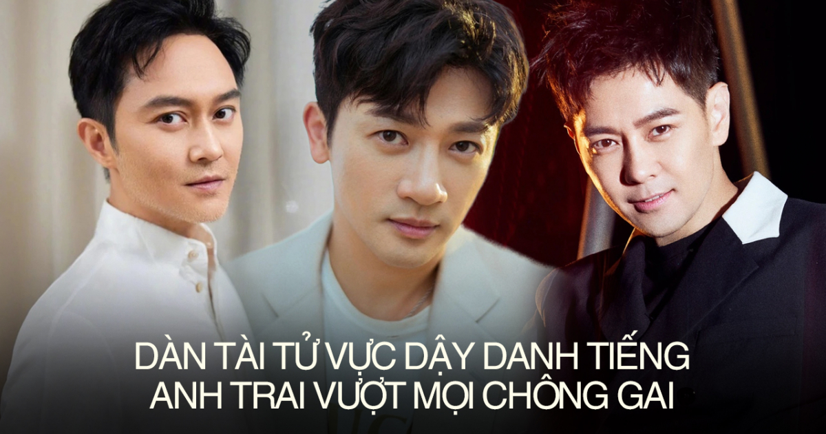 Lâm Chí Dĩnh, Tô Hữu Bằng và dàn tài tử vực dậy danh tiếng nhờ tham gia ...